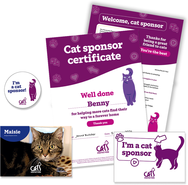 Kids Cat Sponsorship | Cats Protection