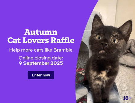 Cats Protection | UK’s Largest Cat Welfare Charity