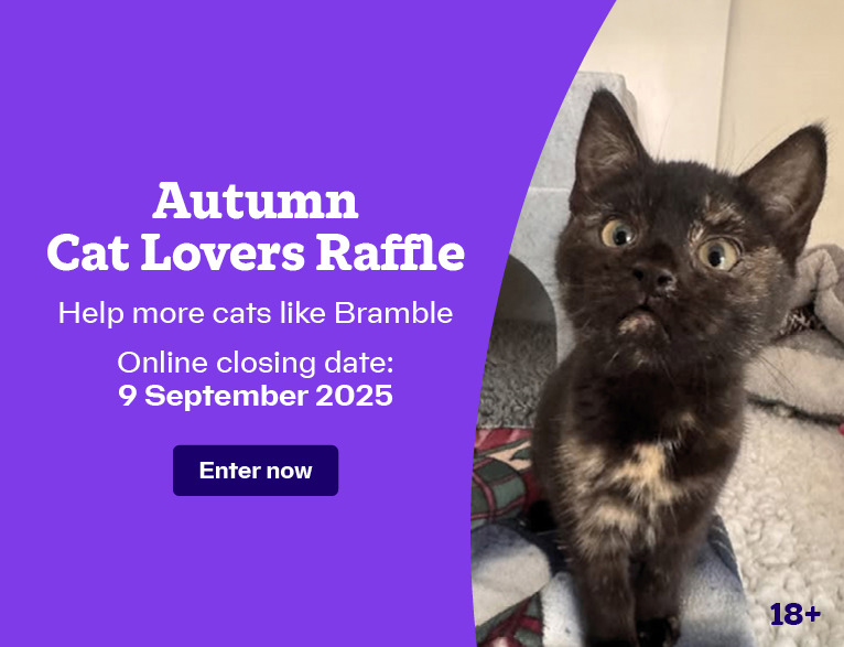 Cats Protection | UK’s Largest Cat Welfare Charity