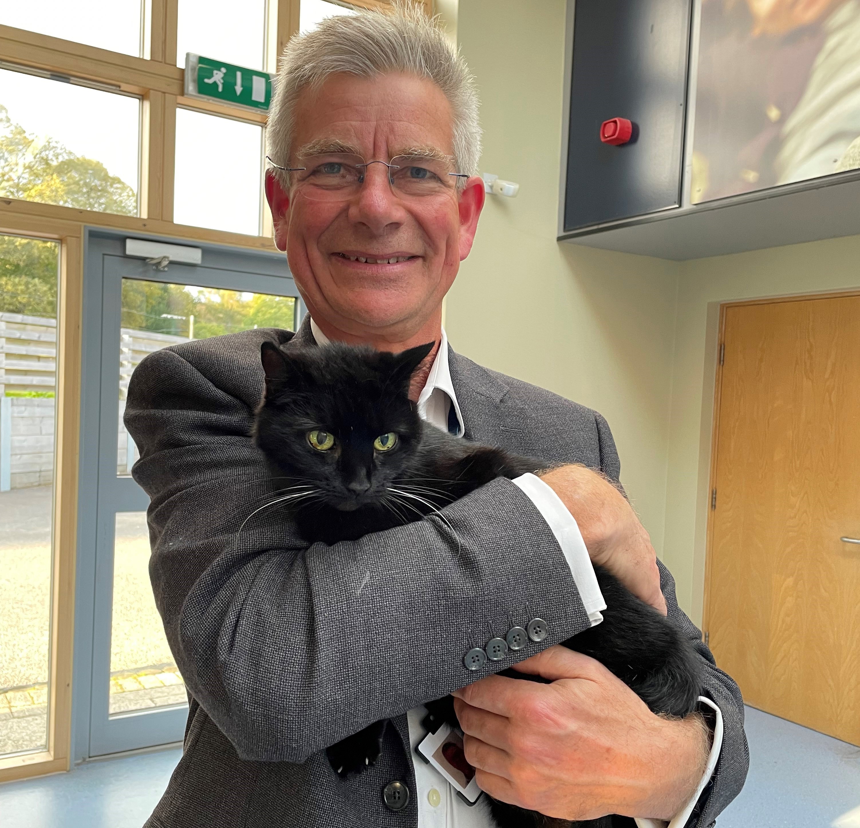 Appointment of new interim head | Cats Protection | Press Release