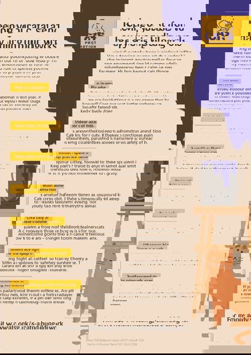 Keeping cats safe during building works | Help & Advice