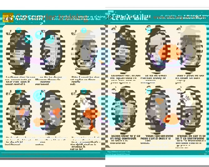 Choosing & using | Cat carrier training | Cats Protection