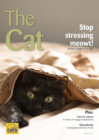 The Cat magazine | Our supporter magazine | Cats Protection