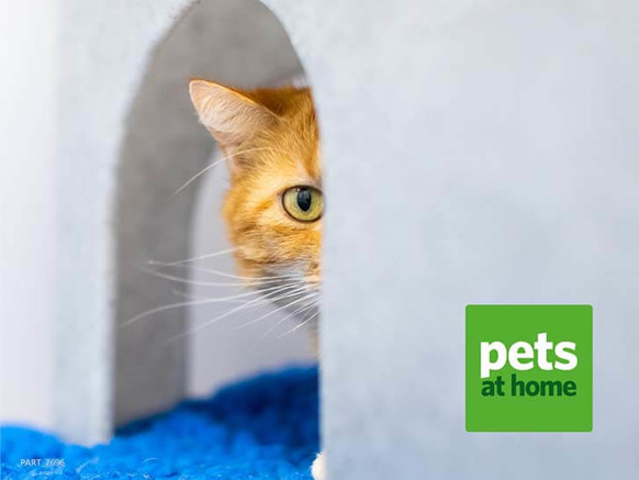 Shop with our partners | Shop | Cats Protection