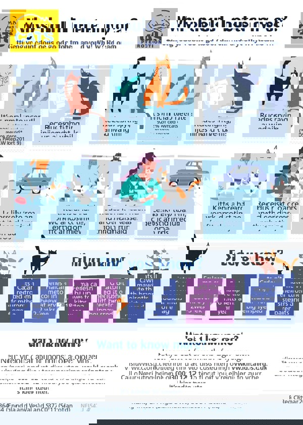 Neutering | Cat neutering during coronavirus | Cats Protection