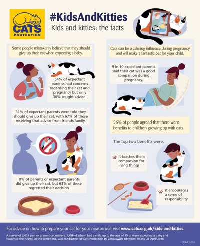 Cats and Babies - Information and Advice | Cats Protection