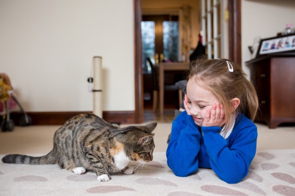 Choosing the Right Cat For You | Cats Protection