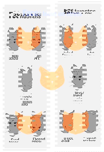 Spotting Signs of Cat Stress - How to Care | Cats Protection