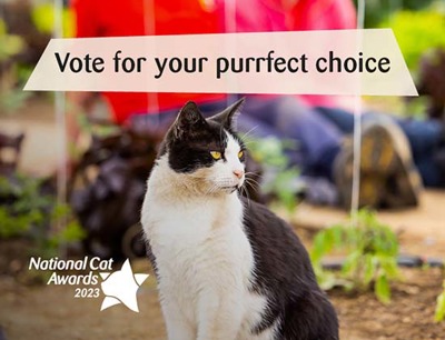 Finalists announced in Cats Protection’s National Cat Awards 2023