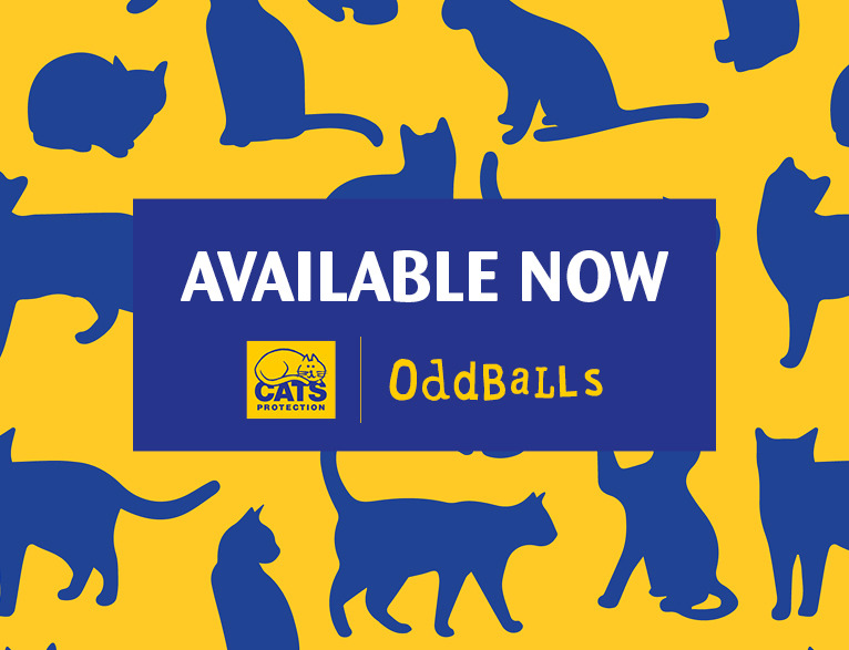 Shop with our partners | Shop | Cats Protection