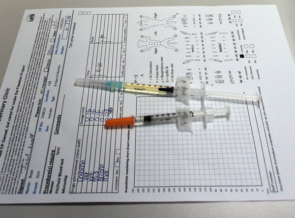 For vets and nurses | Help & Advice | Cats Protection