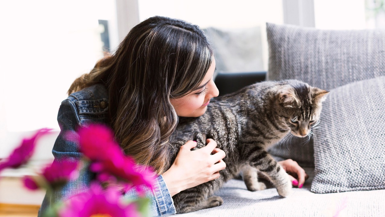 Lifeline | Cats Protection