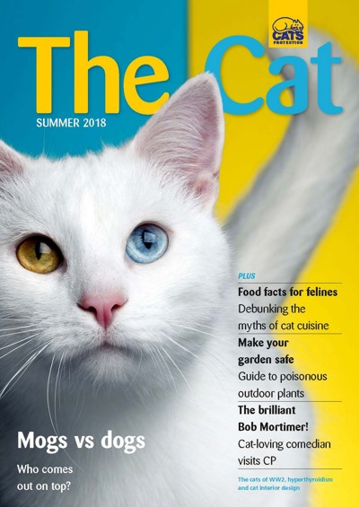 The Cat magazine | Our supporter magazine | Cats Protection