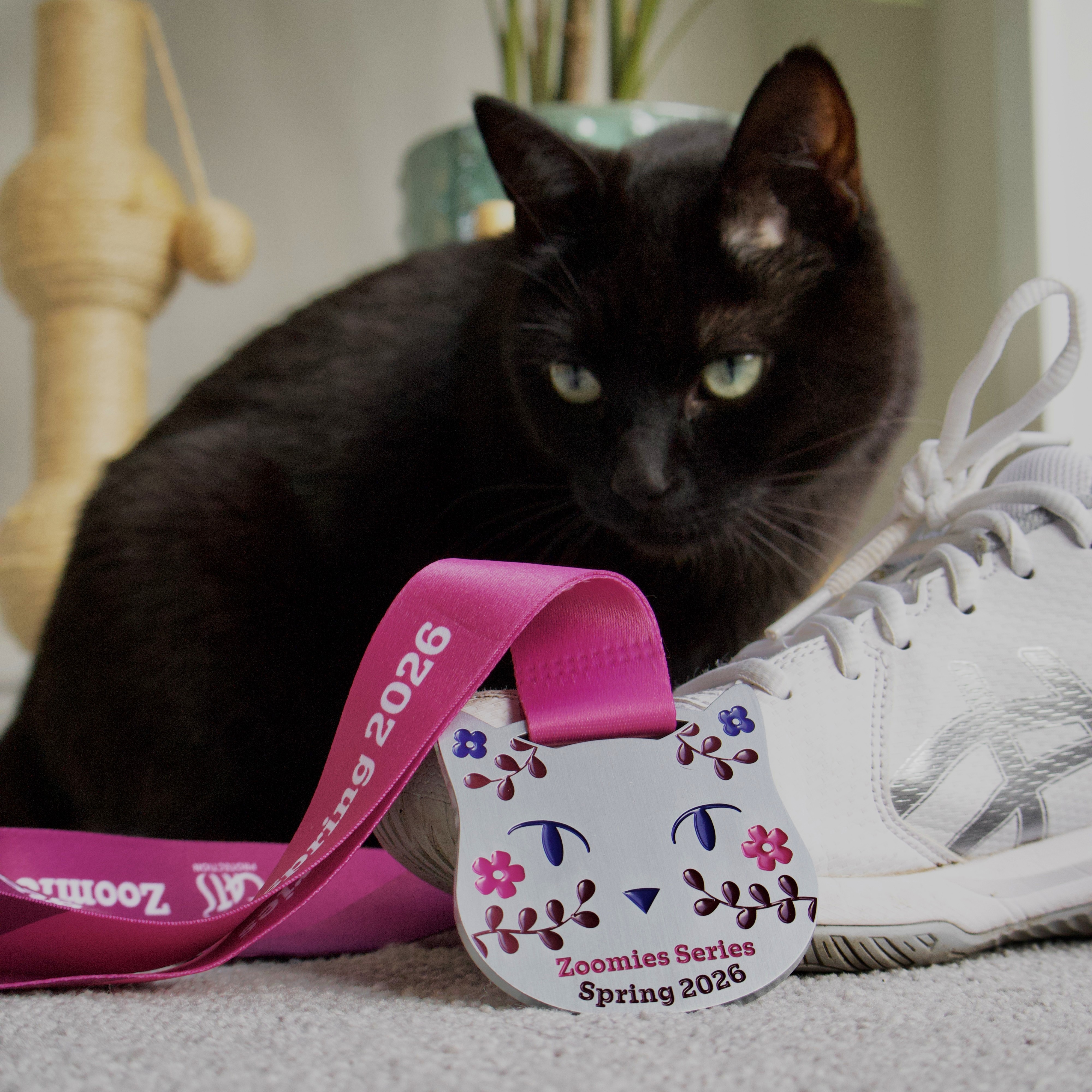 Zoomies Series | Virtual Run Challenge | Cats Protection