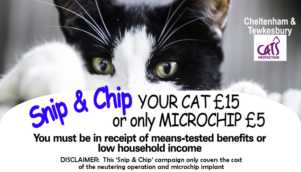 Cats Protection Cheltenham & Tewkesbury Branch