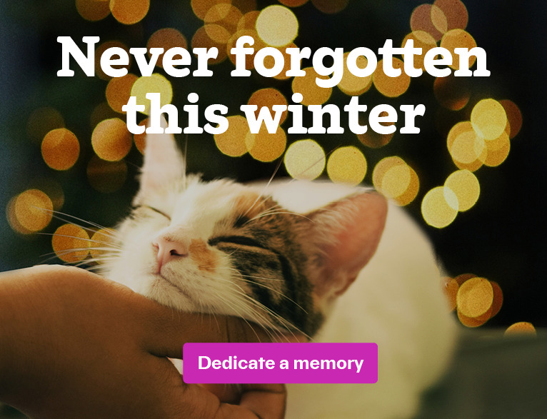 Get involved | Cats Protection