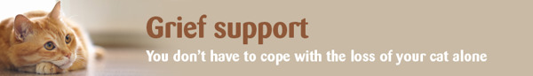 Grief guidance leaflets | Grief services | Cats Protection