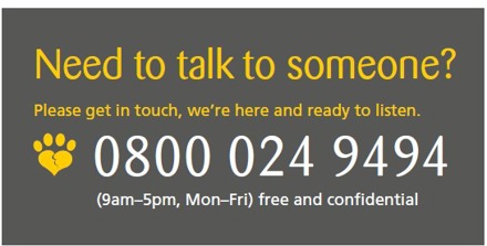 Grief in surviving pets | Do cats grieve? | Cats Protection