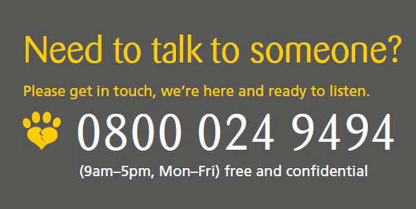 Losing a cat - Coping with Bereavement | Cats Protection