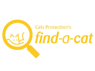 Adopt a cat | Find a cat to adopt | Cats Protection