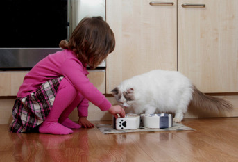 Cats and Children - Information and Advice | Cats Protection