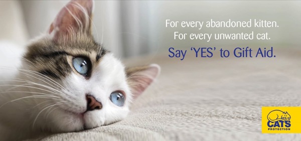 Cats Protection | Gift Aid update