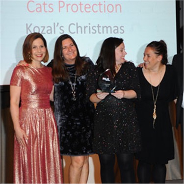 Cats Protection wins vote for festive animation | Cats Protection