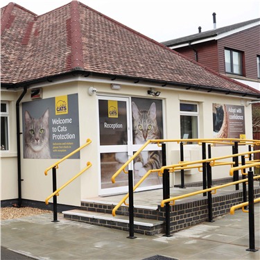 Mayor to launch revamped cat adoption centre | Cats Protection