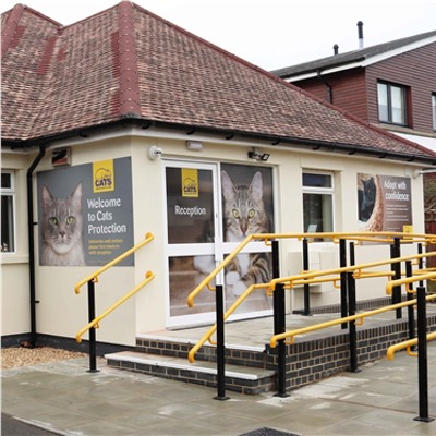 Mayor to launch revamped cat adoption centre | Cats Protection