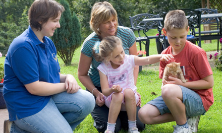 Become a member | Support us by joining Cats Protection