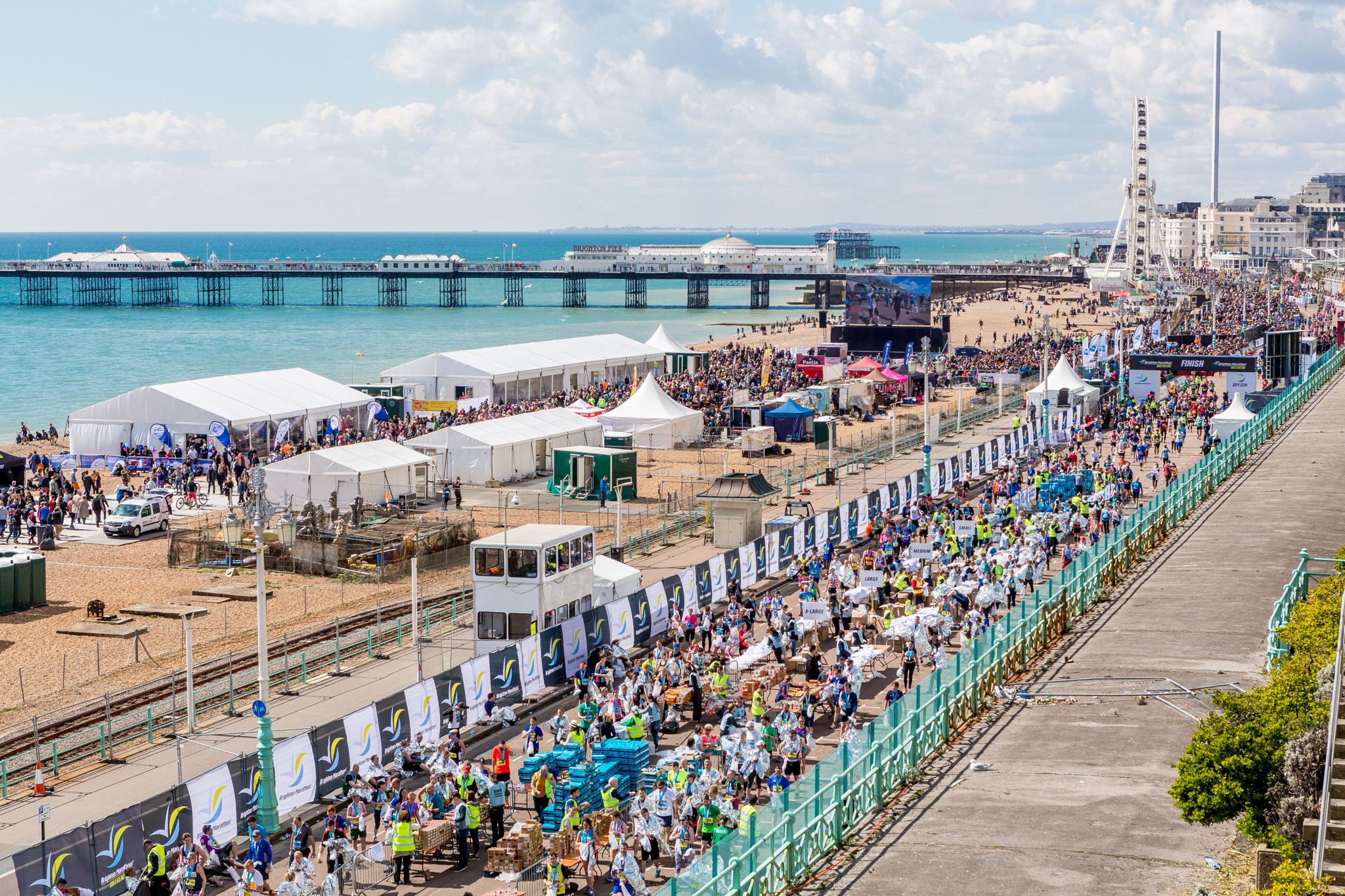 Brighton Marathon | Running | Cats Protection