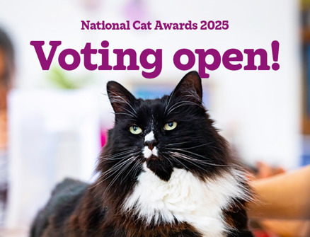 Cats Protection | UK’s Largest Cat Welfare Charity