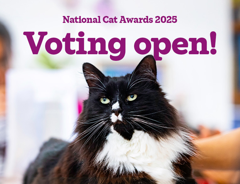 Cats Protection | UK’s Largest Cat Welfare Charity