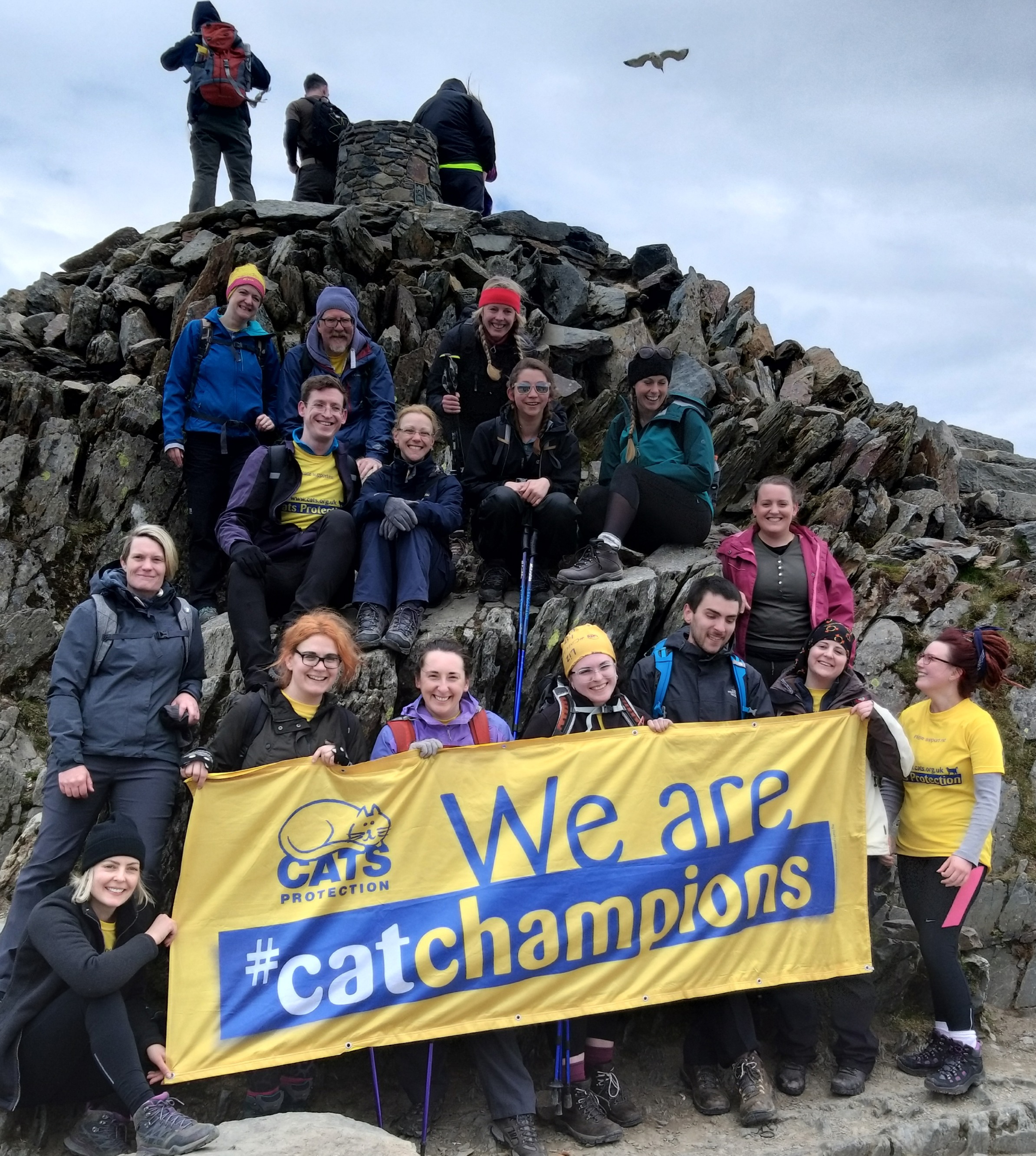 Snowdon Trek | Cats Protection