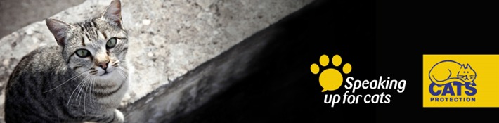 Campaigning | What we do | Cats Protection