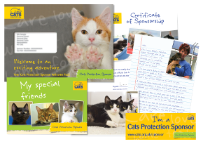 About Cats Protection | Sponsor a cat | Cats Protection