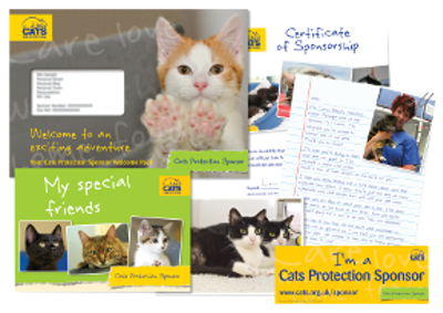 About Cats Protection | Sponsor a cat | Cats Protection
