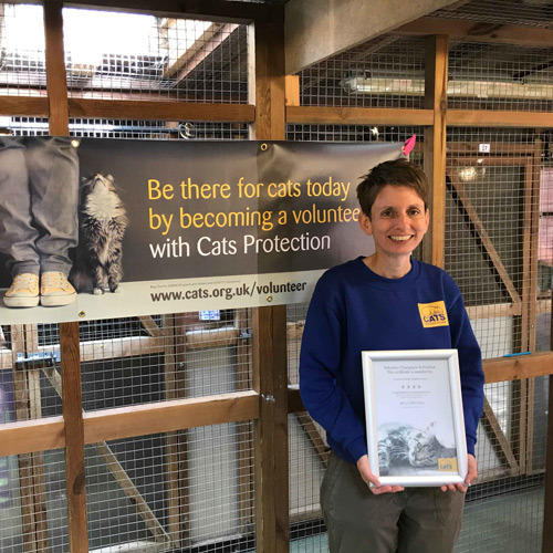 Celebration of cat-care work since 1991 | Cats Protection