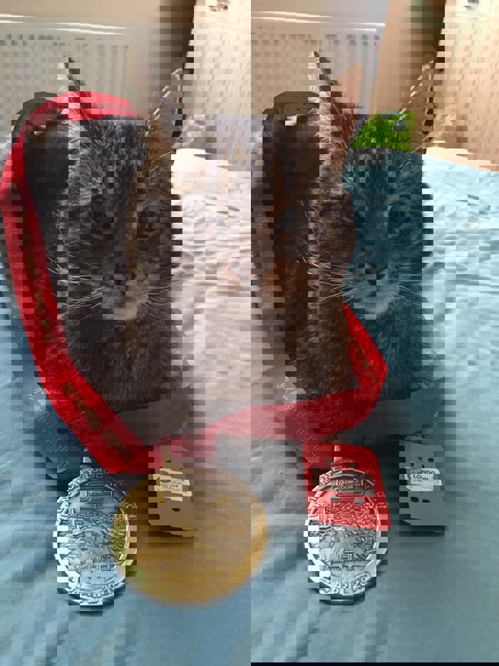 London Marathon | Cats Protection