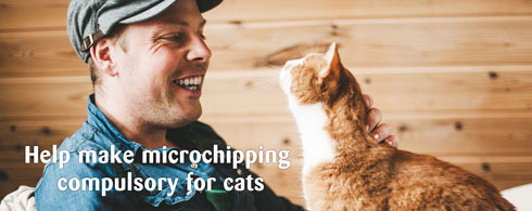 Microchipping petition | Cats Protection