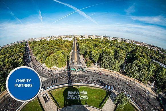 Berlin Marathon | Running for cats | Cats Protection