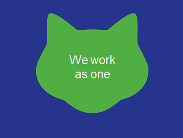 Values and behaviours | Work with cats | Cats Protection