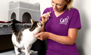 Careers | Work with cats | Cats Protection