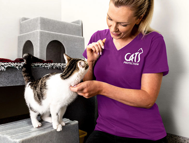 Careers | Work with cats | Cats Protection