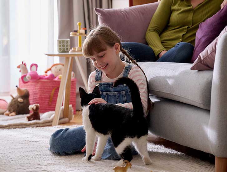 What we do | Helping cats and kittens | Cats Protection