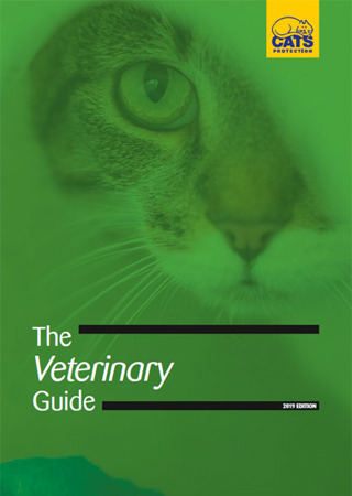 Vet protocols and resources | Help and Advice | Cats Protection