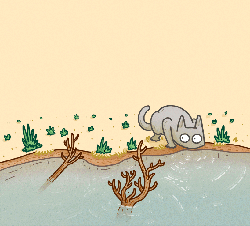 Online learning | Cats Protection