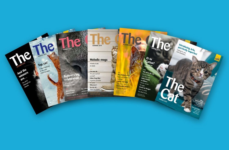 Support us | Help us to help cats | Cats Protection