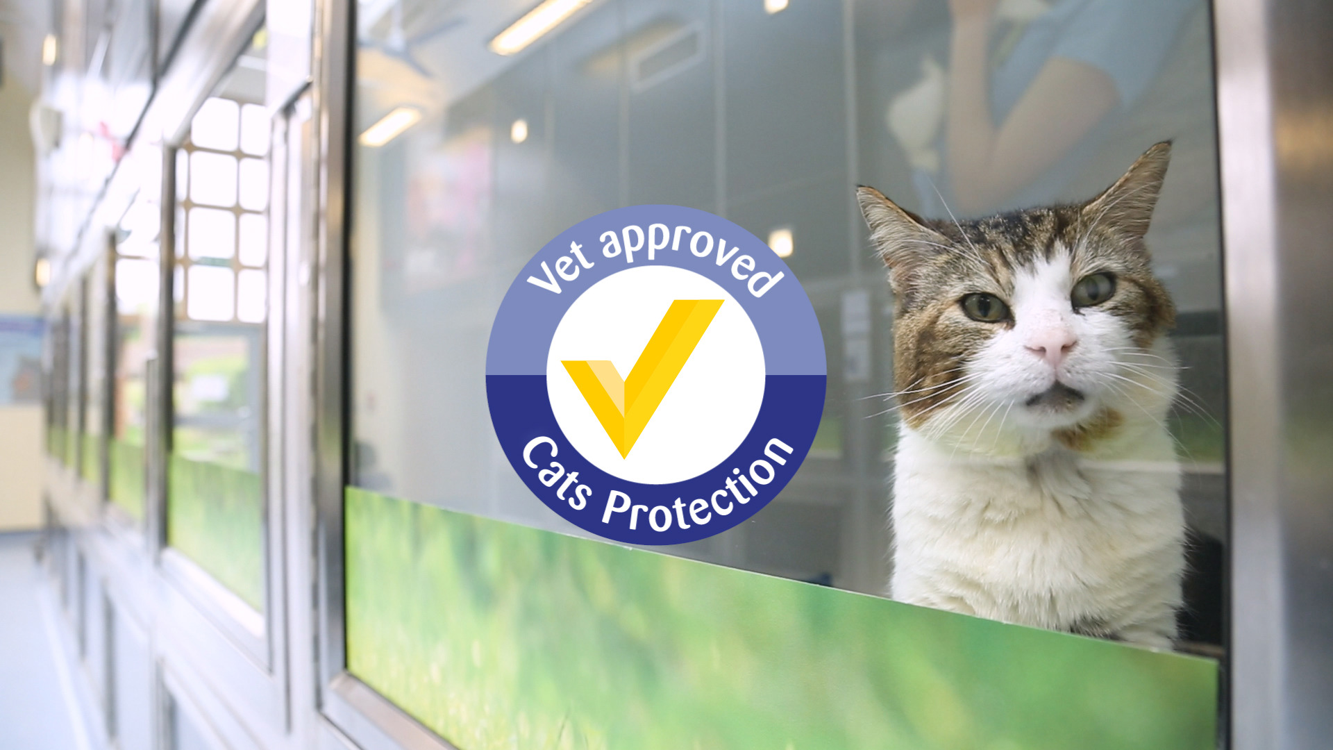 Our vet approved badge | Expert advice on cats | Cats Protection