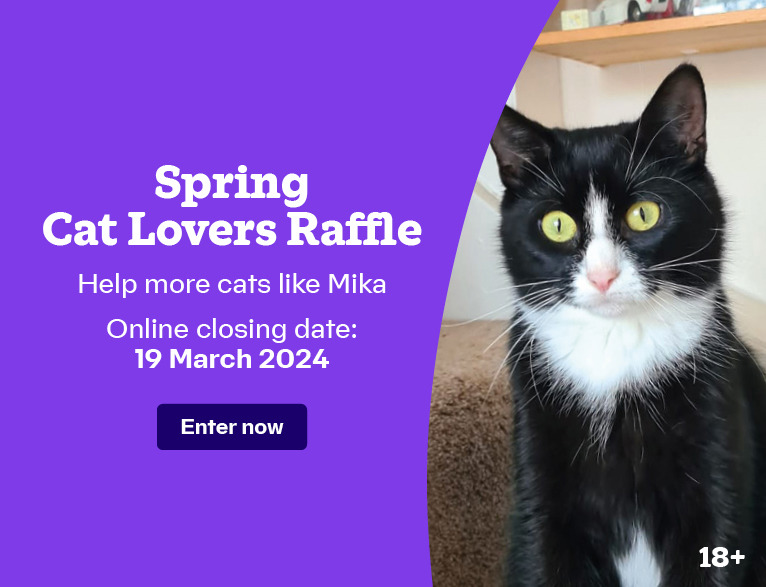 Cats Protection | UK’s Largest Cat Welfare Charity